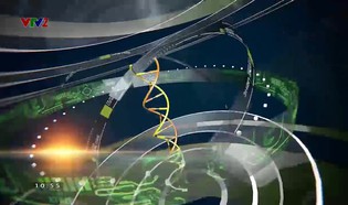 Xem truyền hình trực tuyến, TV Online VTV2, video trên VTV2 đã phát ...