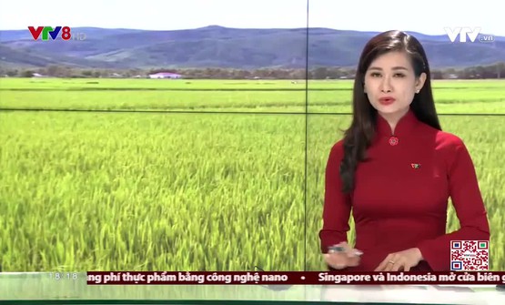 Thời sự 18h VTV8 - 12/10/2020 - Video đã phát trên VTV8 | VTV.VN