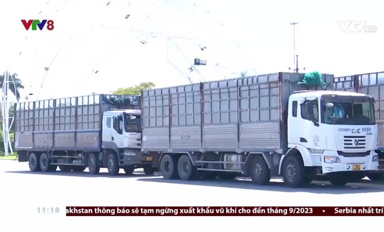 Nóng cùng V8 trưa - 28/8/2022 - Video đã phát trên VTV8 | VTV.VN