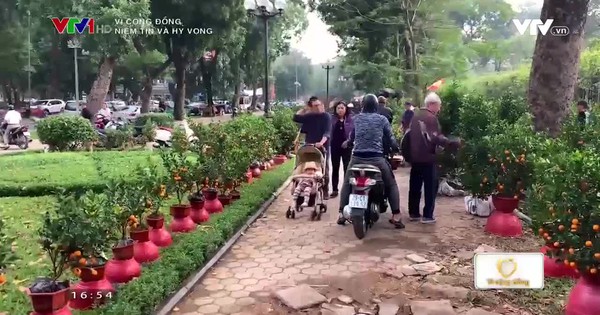 Vì cộng đồng - 23/02/2019 - Video đã phát trên VTV1 | VTV.VN