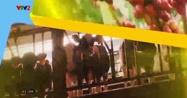 Đường tới nông trại: Truy xuất nguồn gốc - Giải pháp tăng giá trị nông sản - Video đã phát trên ...