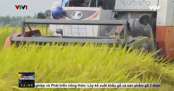 Bảo đảm đủ nguồn lương thực dự trữ quốc gia